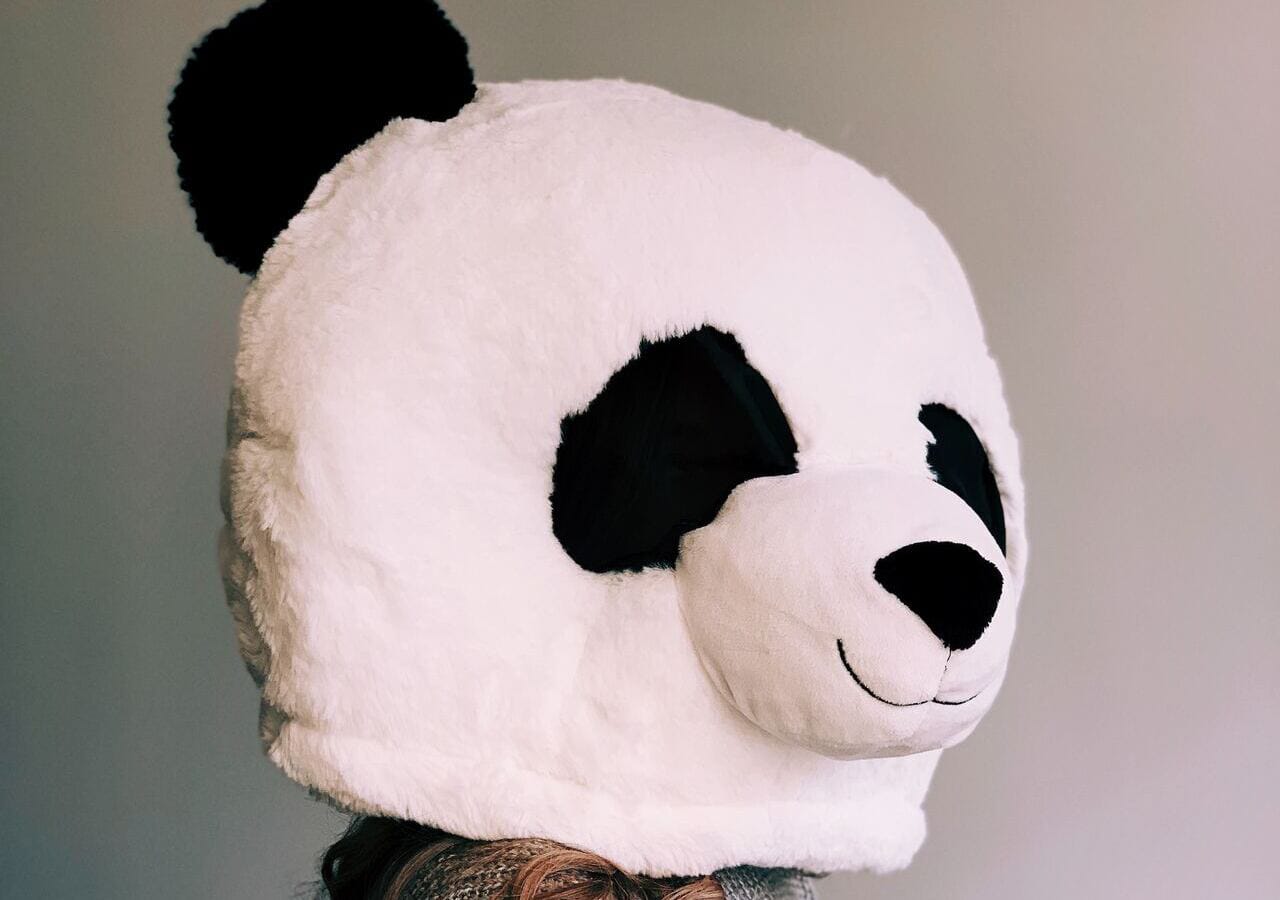 Faktor-faktor Yang mempengaruhi Harga Kostum Panda